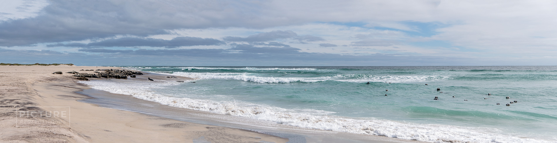 Sable Island Tour - Picture Perfect Tours